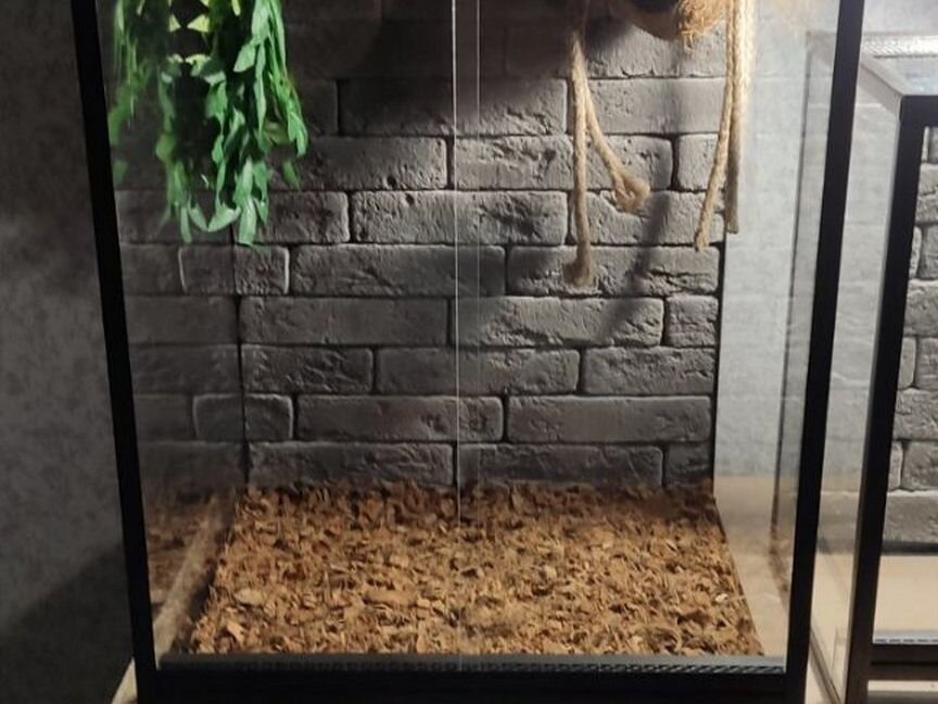 Террариум изготовим по вашим размерам