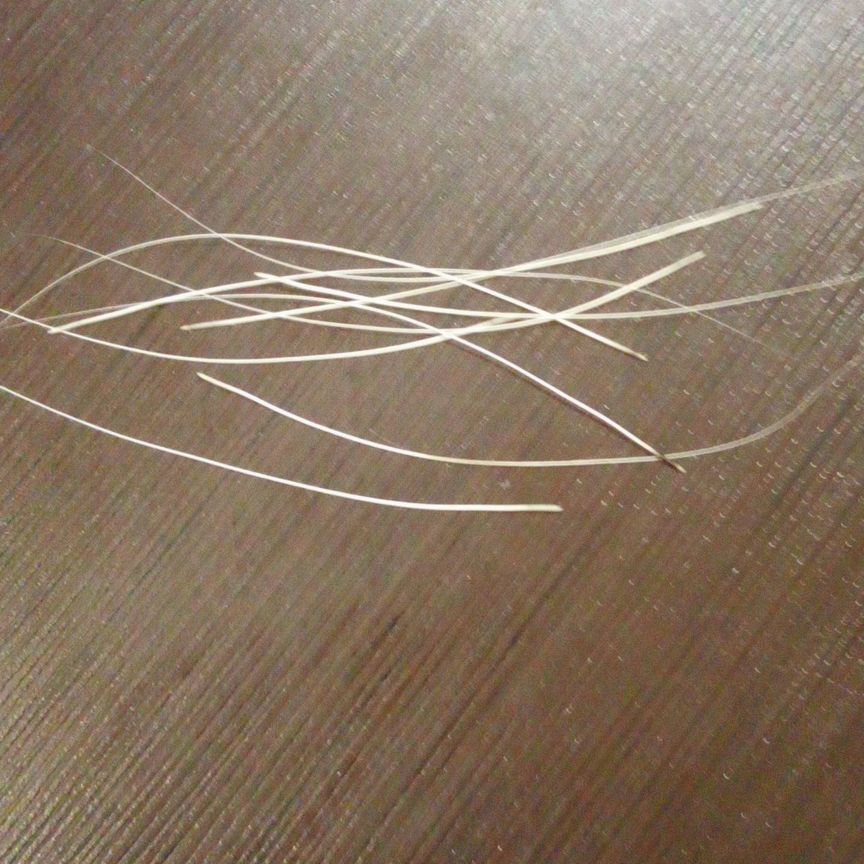 Кошачьи усы
