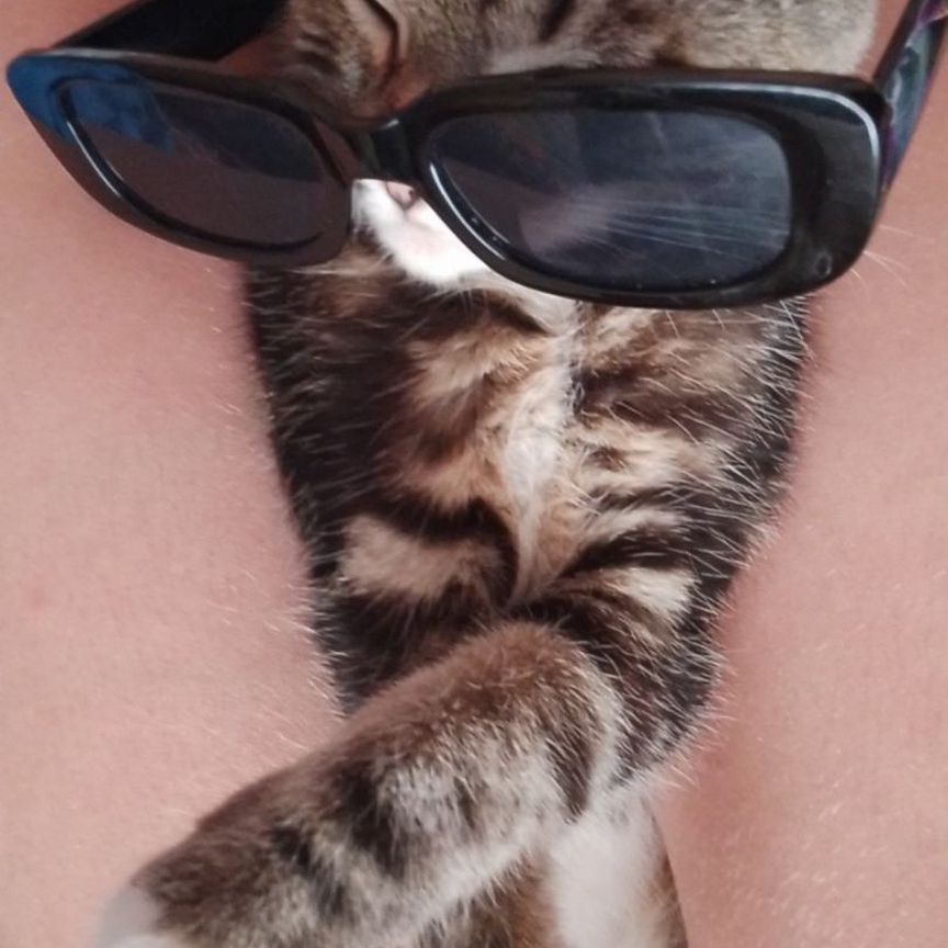 Мясо индейки