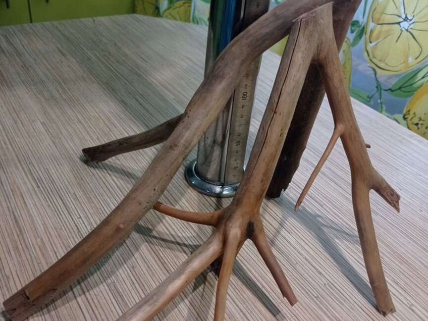 Когяги