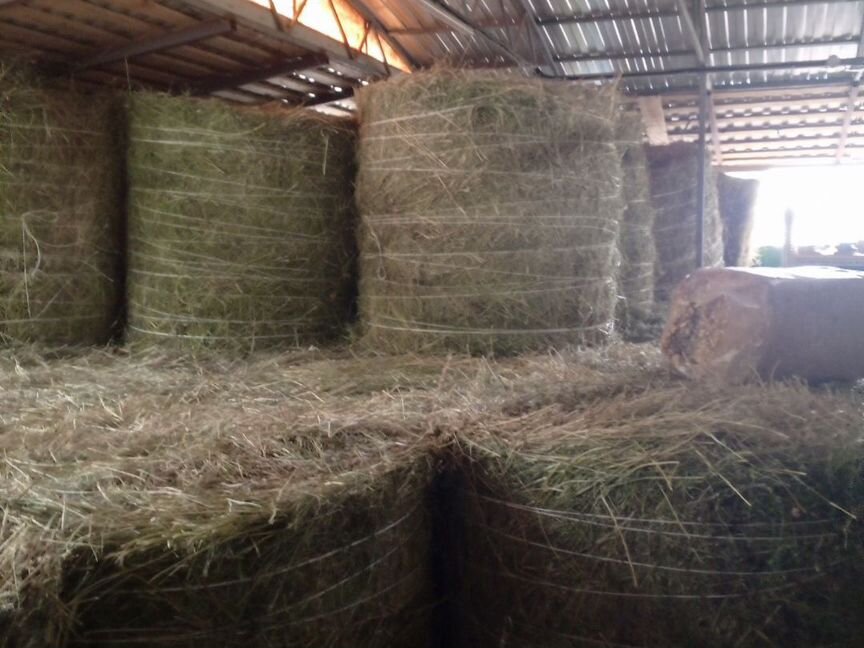 Сено в рулонах