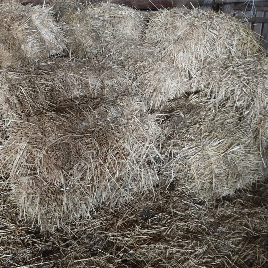 Сено в тюках