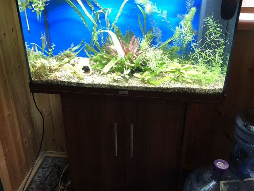 Аквариум Juwel Rio 125,120