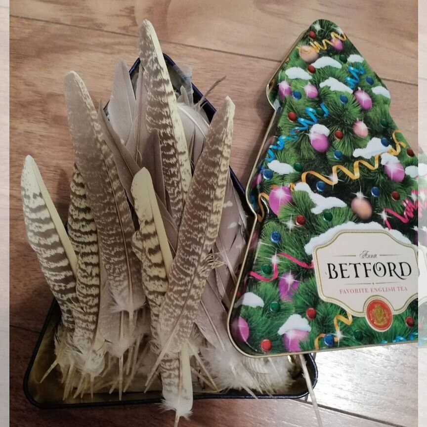 Перья попугая