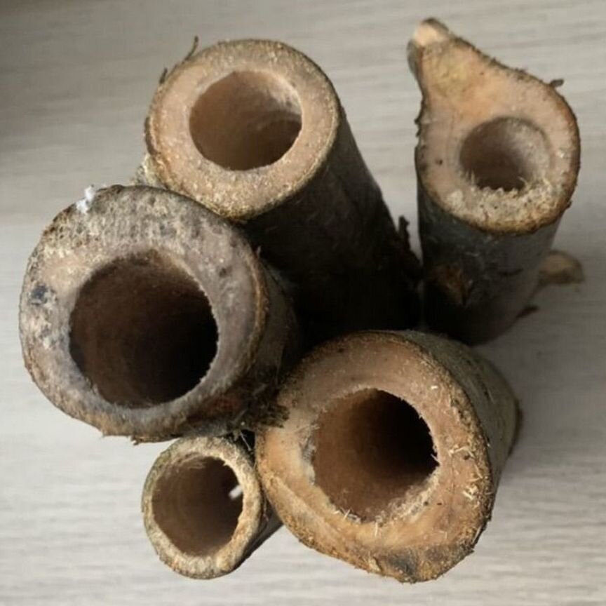 Коряги из яблони для сомов, трубки