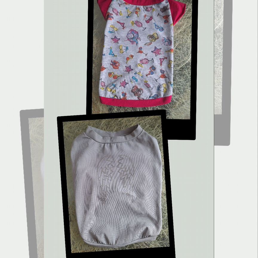 Футболки для собак / кошек