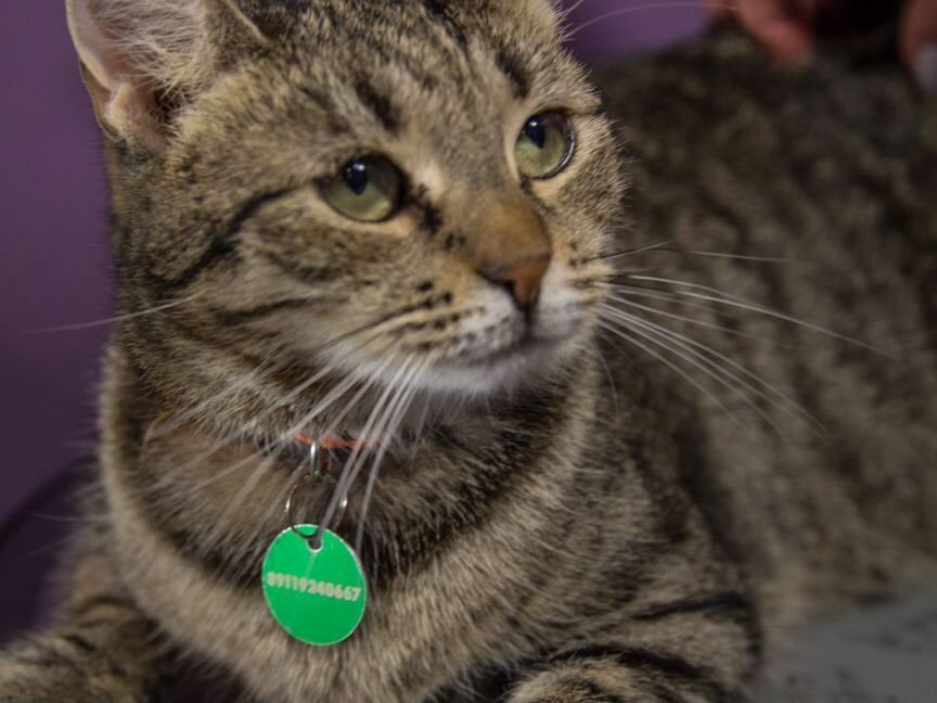 Европейская