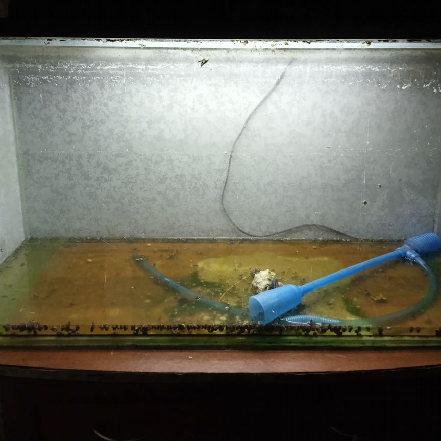 Аквариум на 200 литров