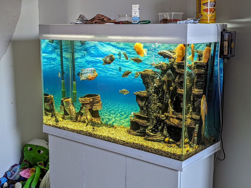 Аквариум 240л комплект с фильтром