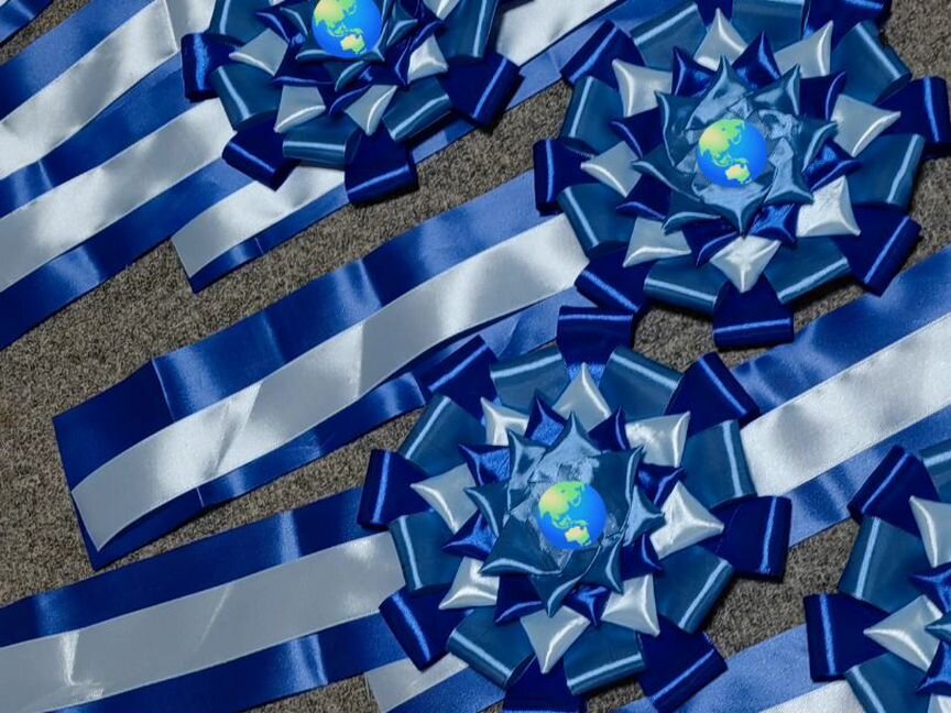 Наградные розетки для выставки животных