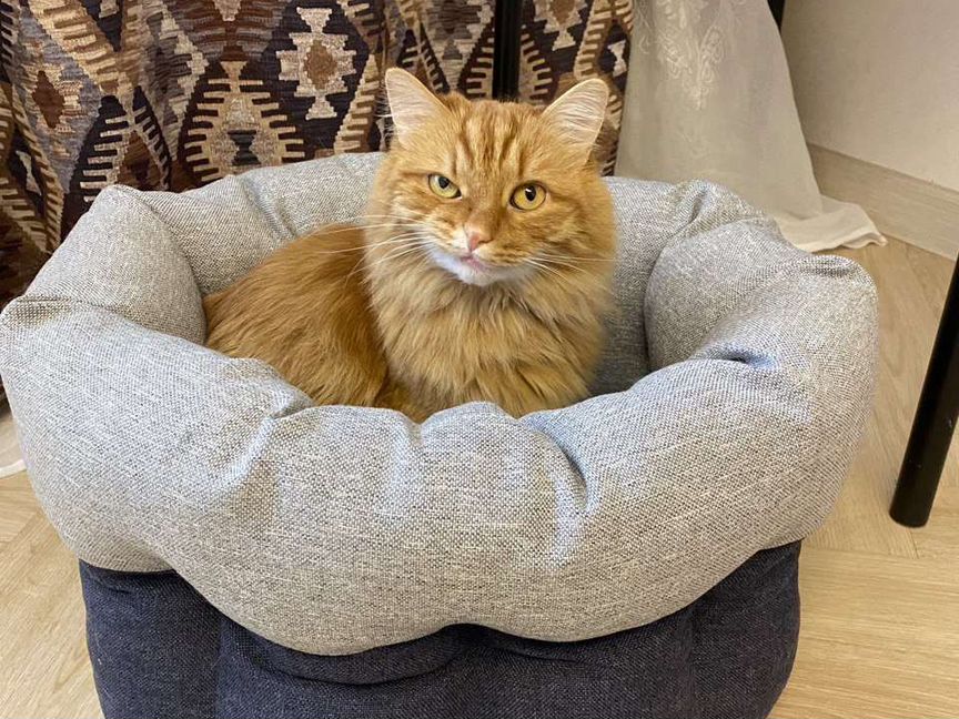 Лежанка пуф