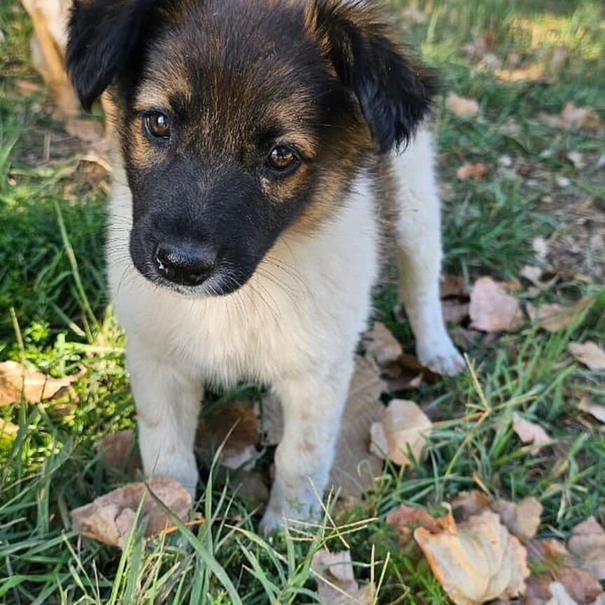 Дуняша-обаяша в поисках мам и пап