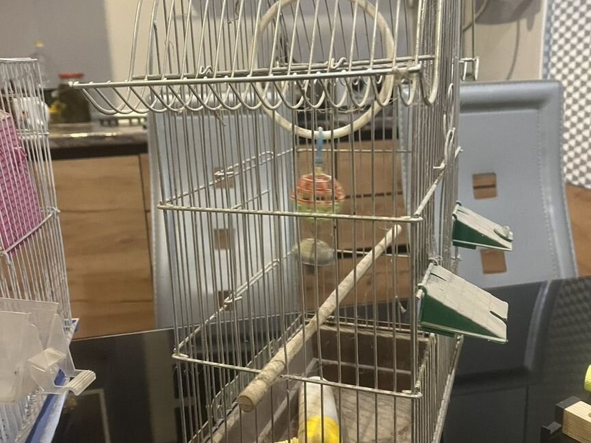 Продам клетки для декоративных птиц и животных