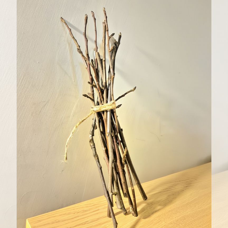 Веточки яблони / Лакомство для грызунов