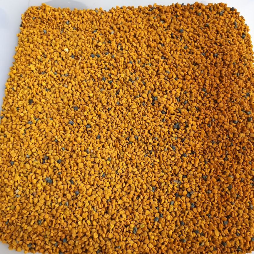 Пыльца цветочная