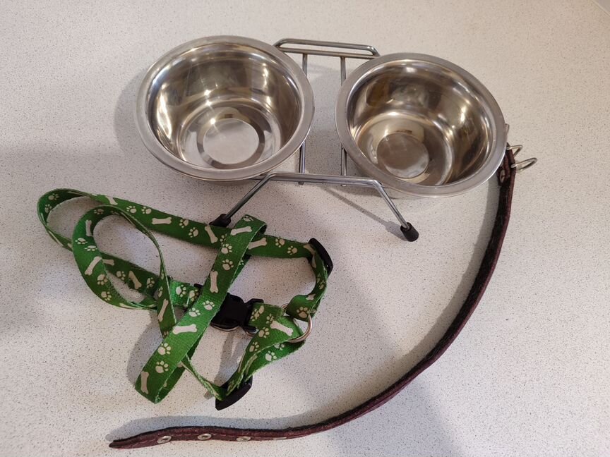 Миска на подставке, шлейка и ошейник для собак