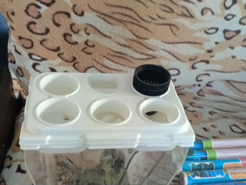 Аквариум для рыбок