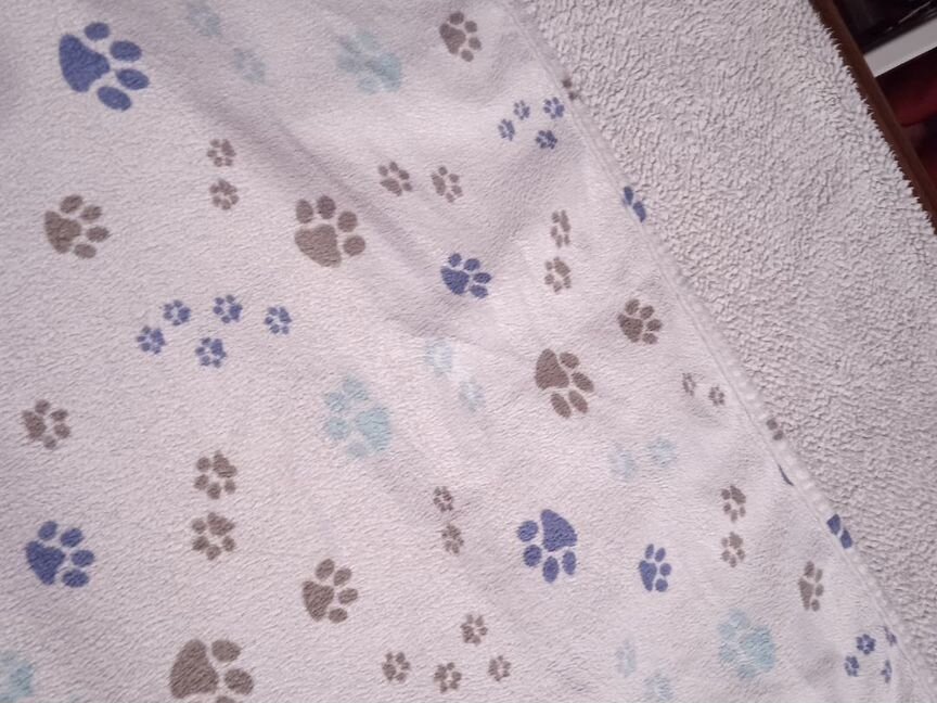 Подстилка для кошек