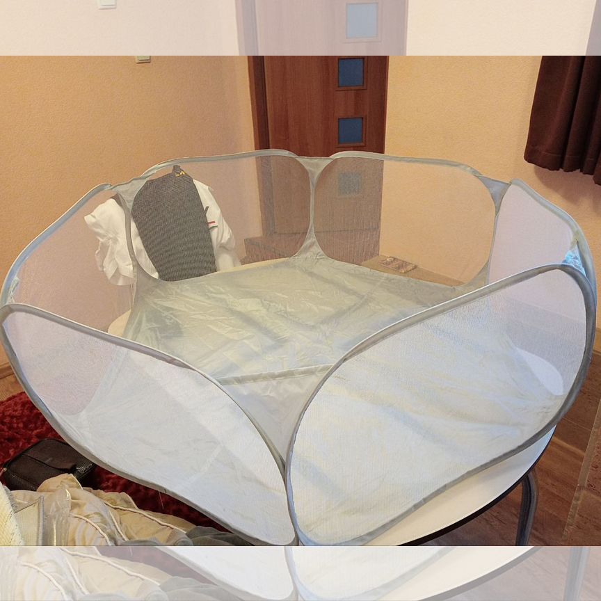 Игровой вольер для морских свинок