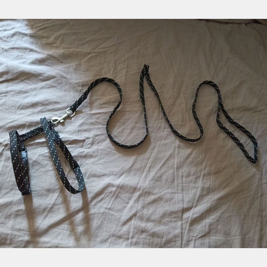 Шлейка для кошки б/у чёрная one size