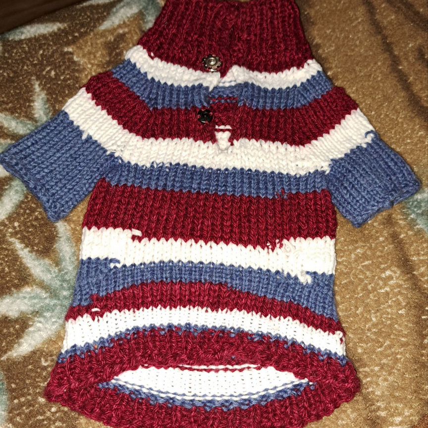 Вязаная кофта для сфинкса