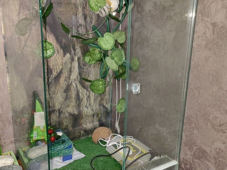 Террариум для рептилий