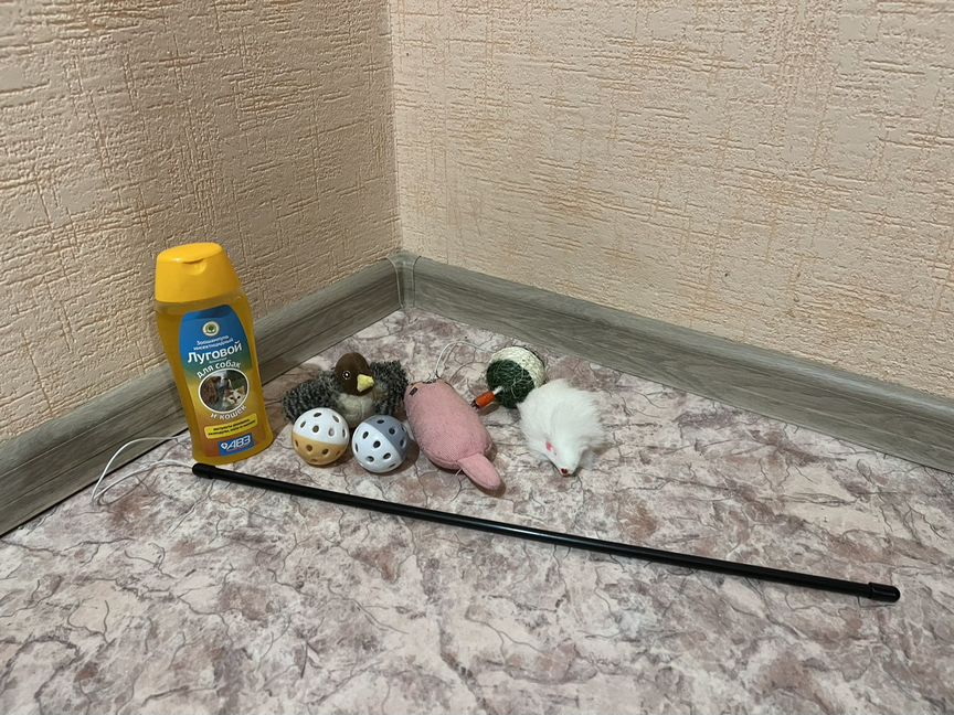 Игрушки и шампунь для кошки