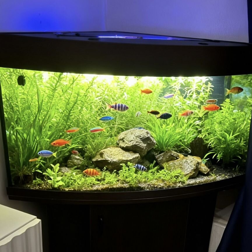 Аквариум с тумбой