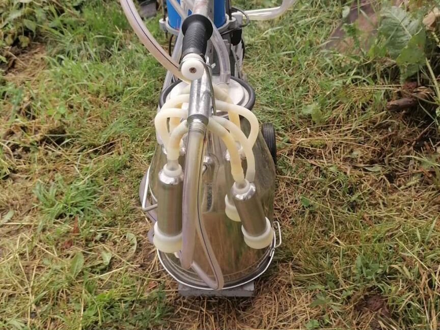 Доильный аппарат для коров бу