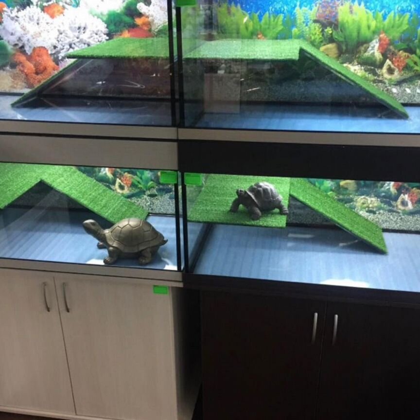 Аквариумы для черепах