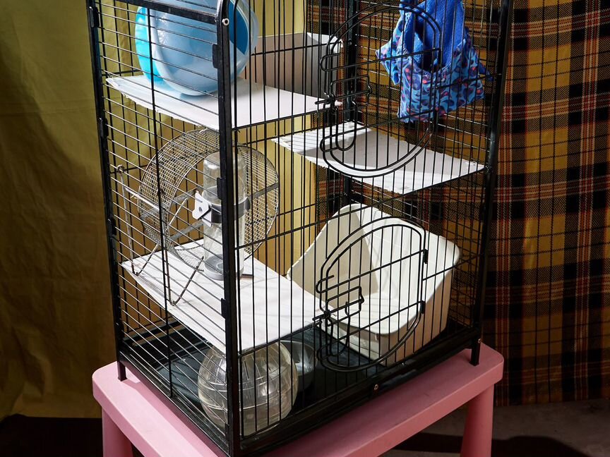 Большая клетка для шиншилл крыс дегу хорька грызун
