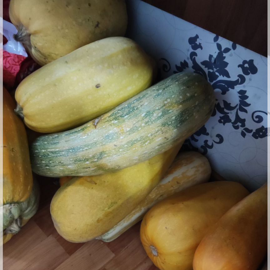 Кабачки переростки