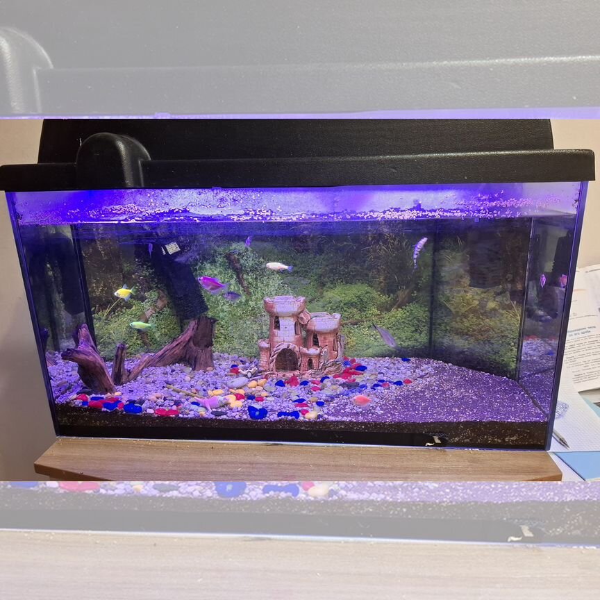 Аквариум с рыбками