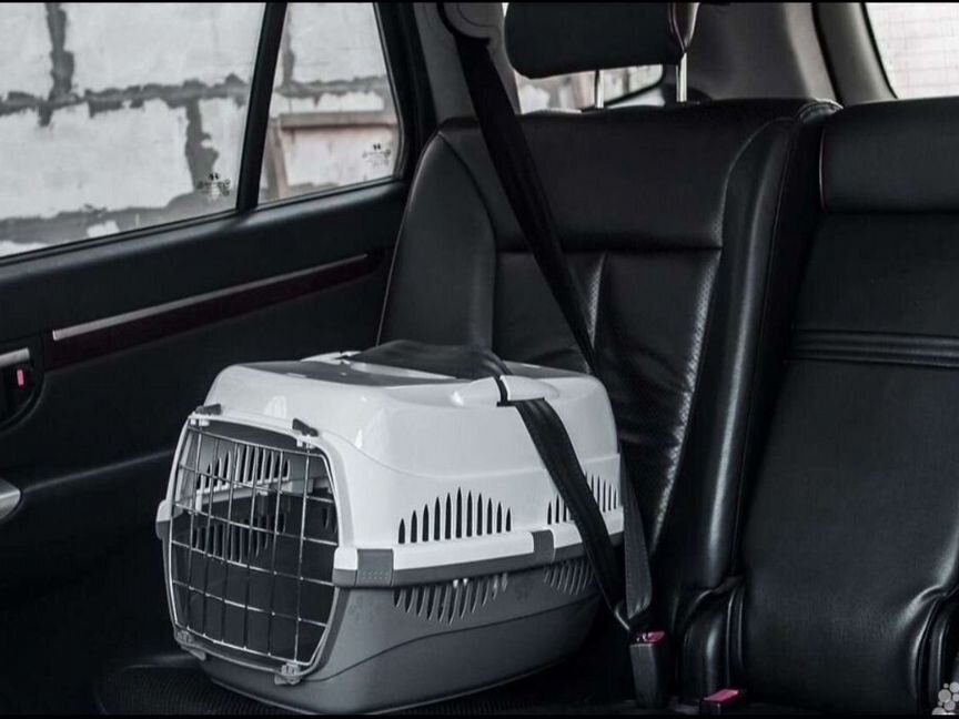 Аренда Переноска для кошек собак аренда