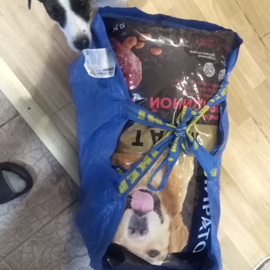 Корм   памперсы