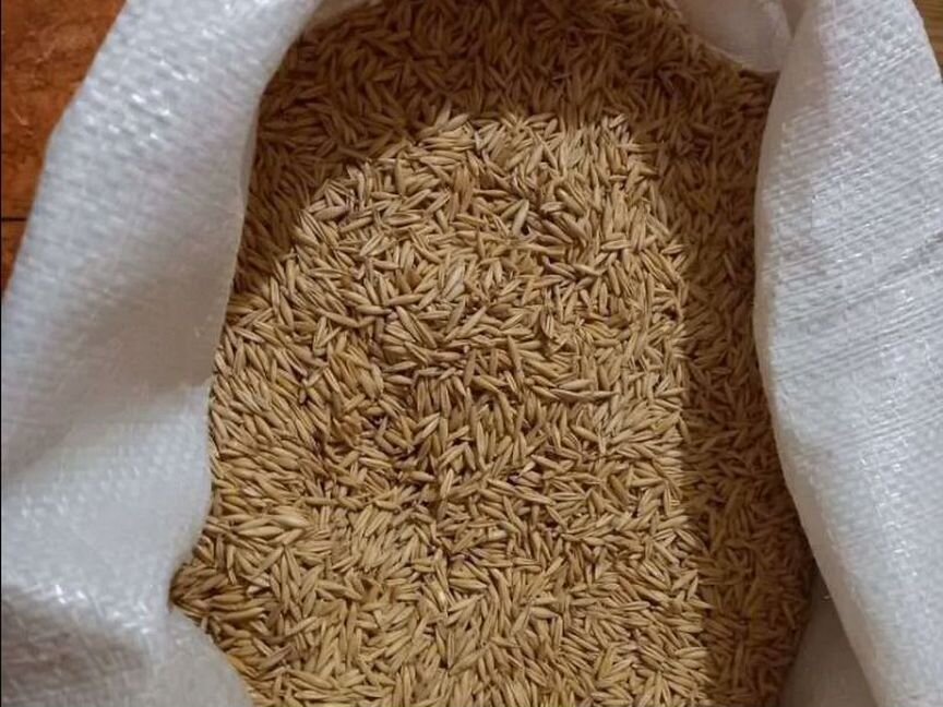 Подсолнечная зерносмесь