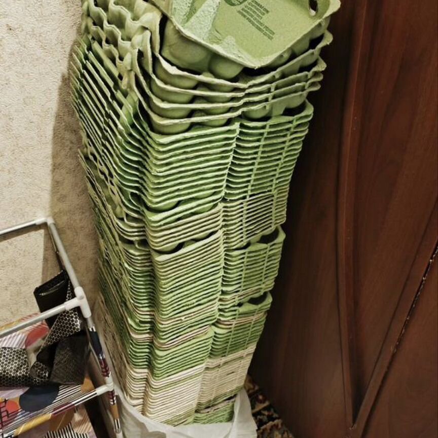 Яичные лотки