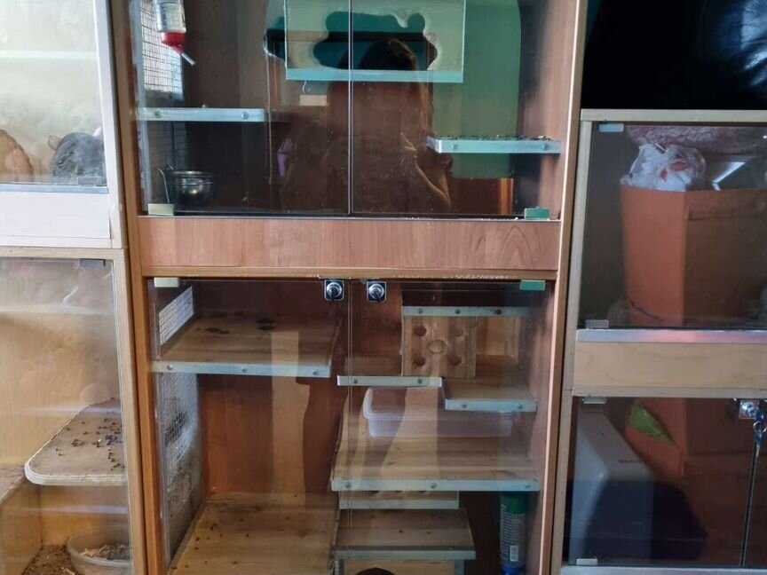 Витрина для шиншилл бу