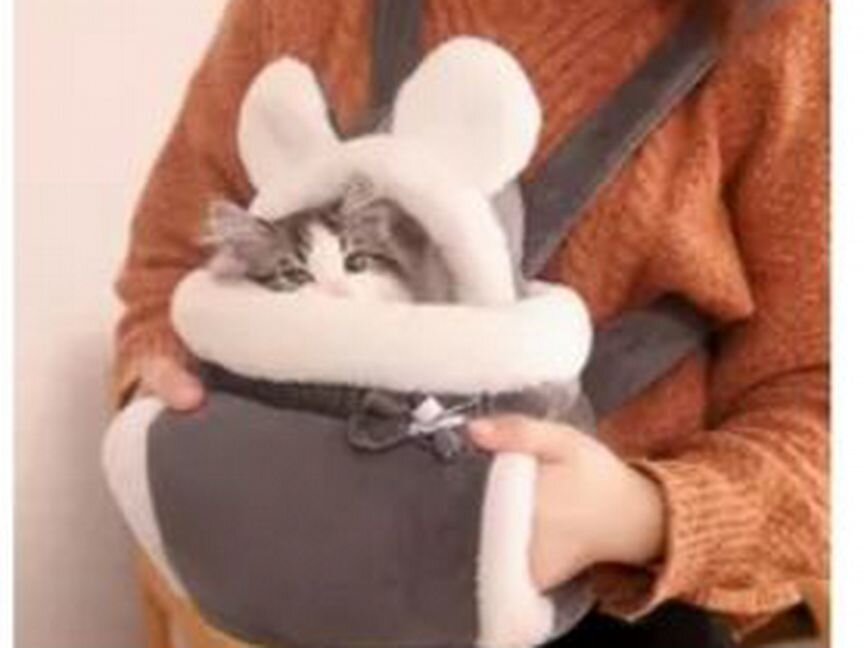 Зимний рюкзак для кошек и собак