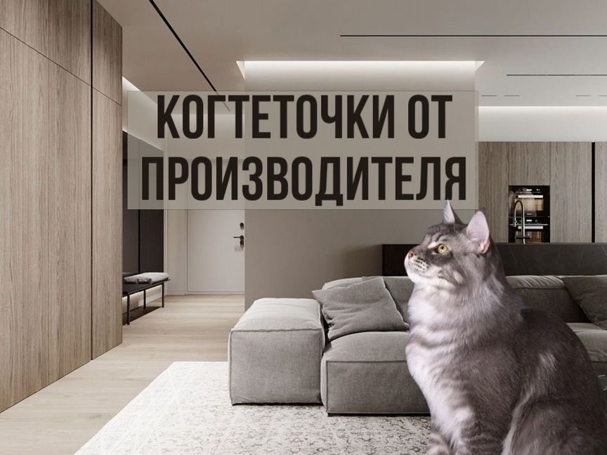 Когтеточка угловая