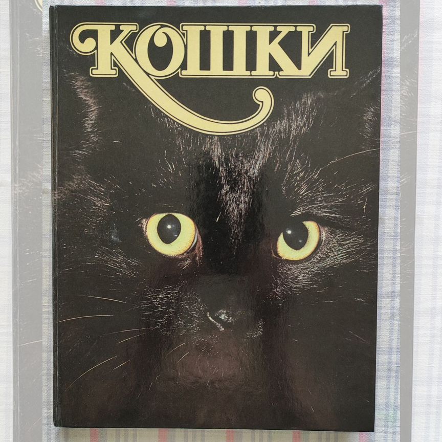 Книга