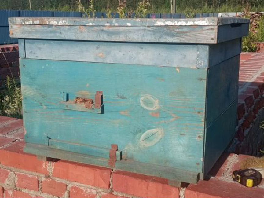 Ульи с магазинами, 16 рамок