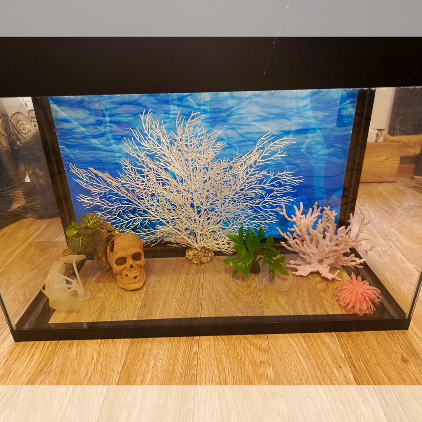 Аквариум 60 литров