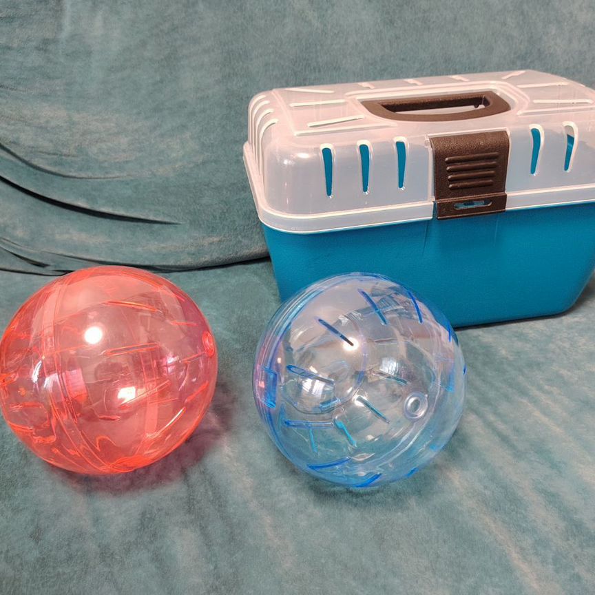 Переноска и прогулочные шары для хомяка