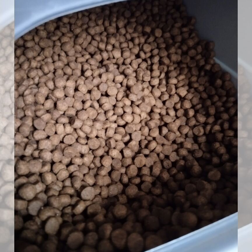 Корм для котят AlfaPet с цыплёнком 3 кг