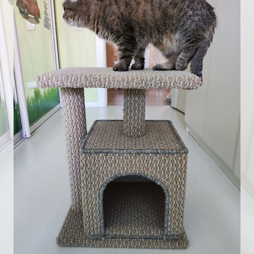 Когтеточка