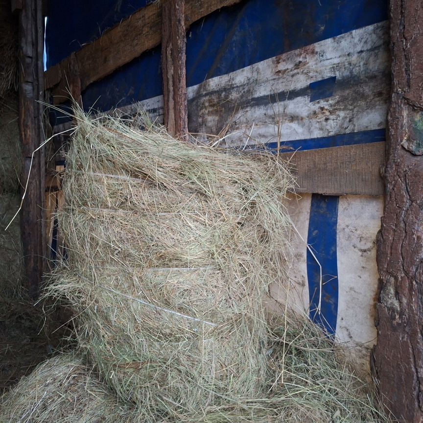 Сено в рулонах