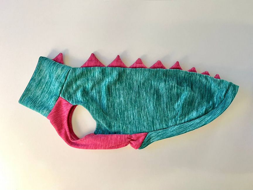 Очаровательная дино-безрукавка для собаки