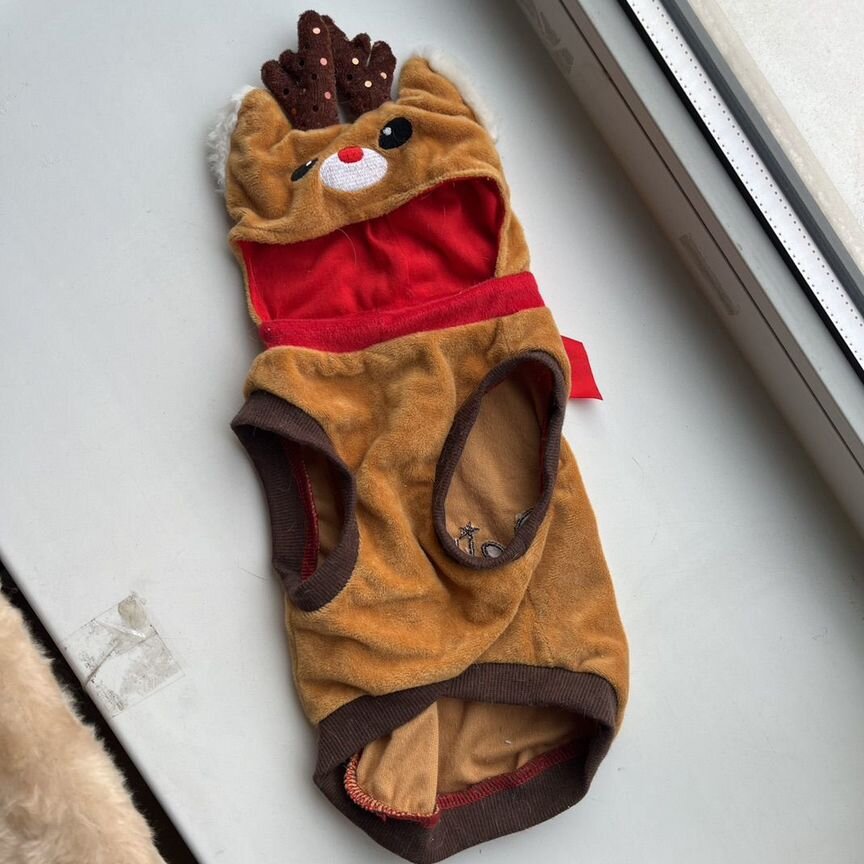 Костюм для маленькой собаки