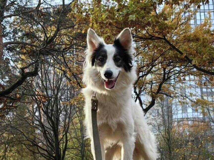 Нужна передержка